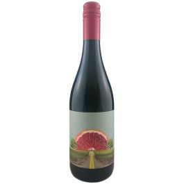 Cramele Recas Viile Timisului Solara Natural Red 2023 75cl - Drinkmonger
